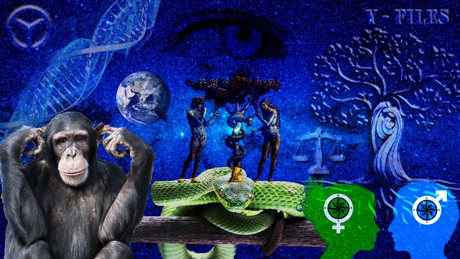 Γνῶθι σεαυτόν (Connais-toi toi-même) - Épisode 6 - Y Files